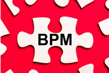 Build effective BPM programs - PEX Network