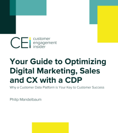 Your Guide to Optimizing Digital Marketing, Sales and CX with a CDP