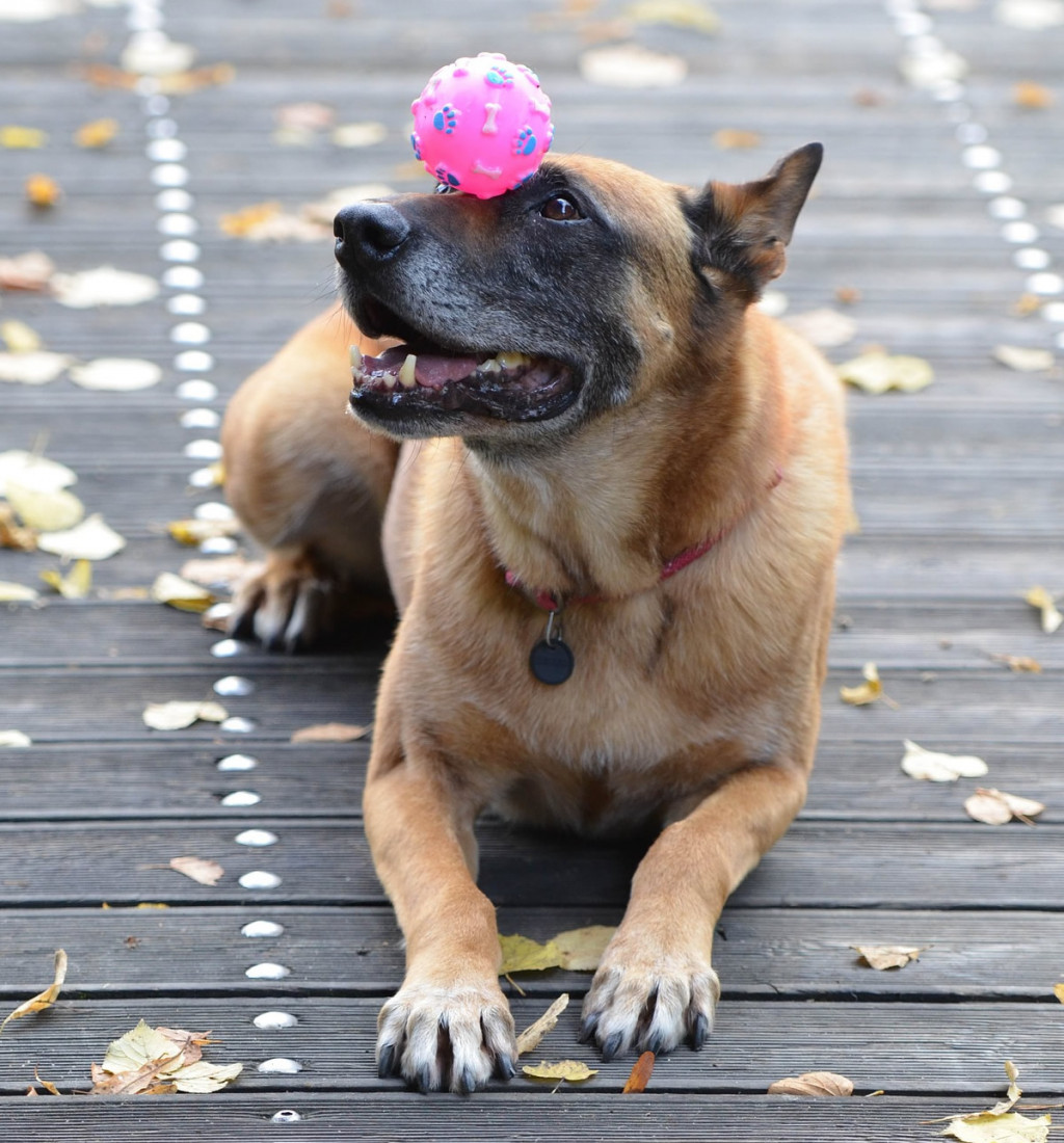 A Quick Guide to Reinforcement Learning