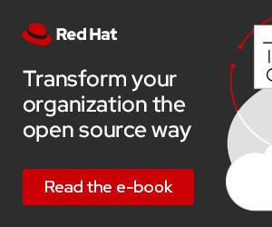 Digital Transformation, the Open Source Way [eBook]