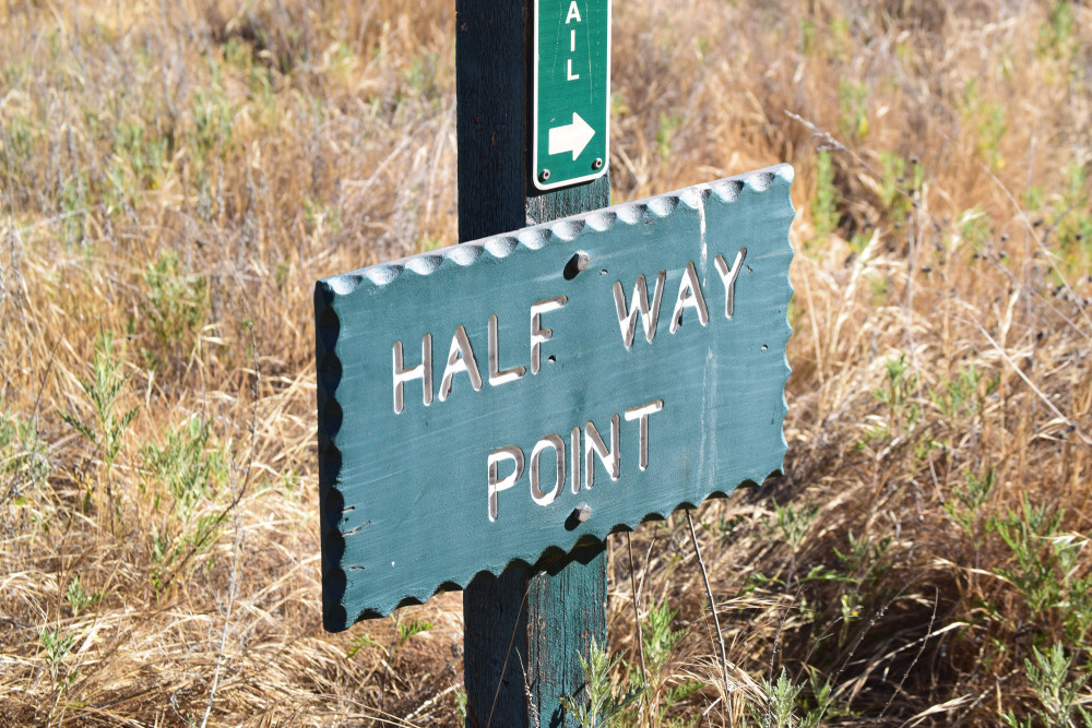 Mid-Year Enterprise Cyber Security Checkpoint