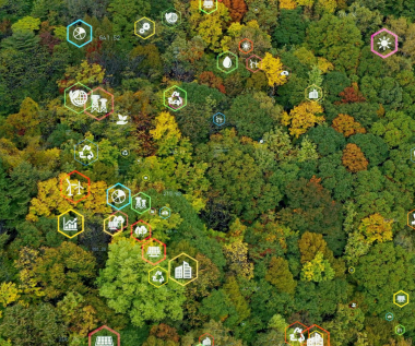 The Making of a Successful Decarbonization Strategy with ARC Advisory