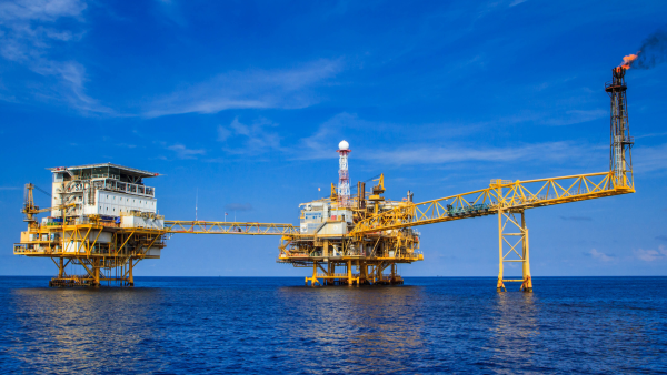 Content Hub | Cenosco Insights