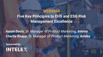 Five Key Principles to EHS and ESG