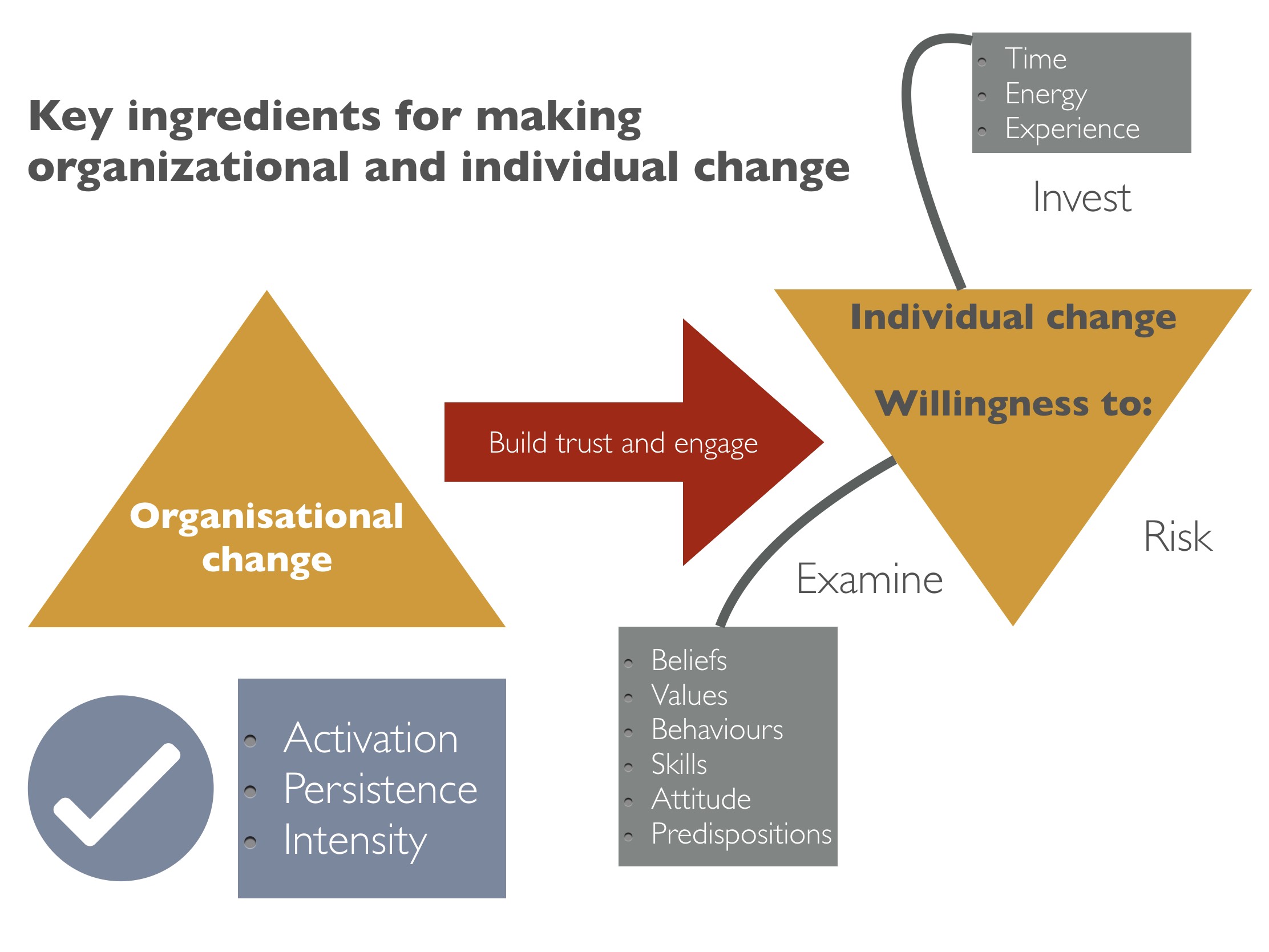 The cultural change ladder