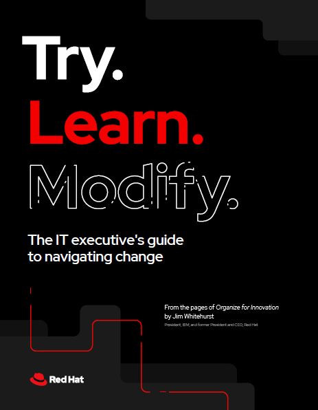 Try, Learn, Modify: The IT executive's guide to navigating change