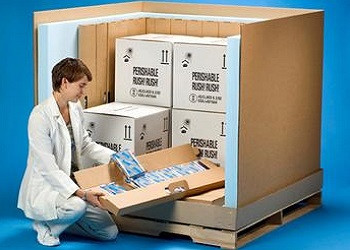 Cold chain packaging systems: Comparison of active, passive and hybrid ...