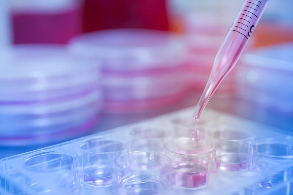 Excellence in the era of precision medicine