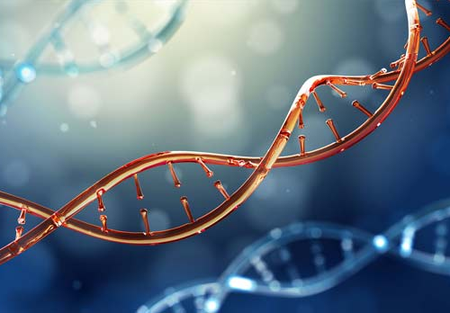 Basket trials: Better response rate than chemotherapy?