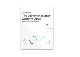 The Customer Journey Maturity Curve