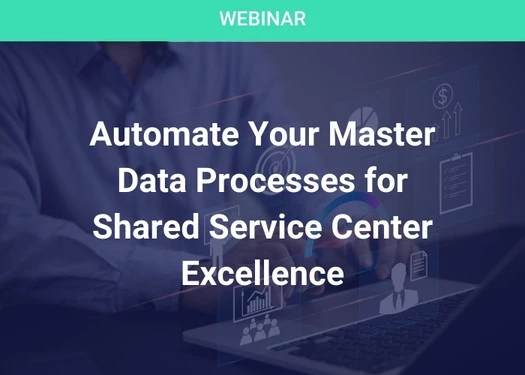 Why We Need a Global Process Owner in Procure-to-Pay – and How to ...