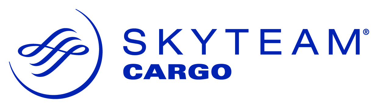 Skyteam Logo