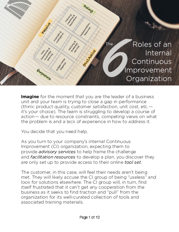 The Six Roles of an Internal Continuous Improvement Organization