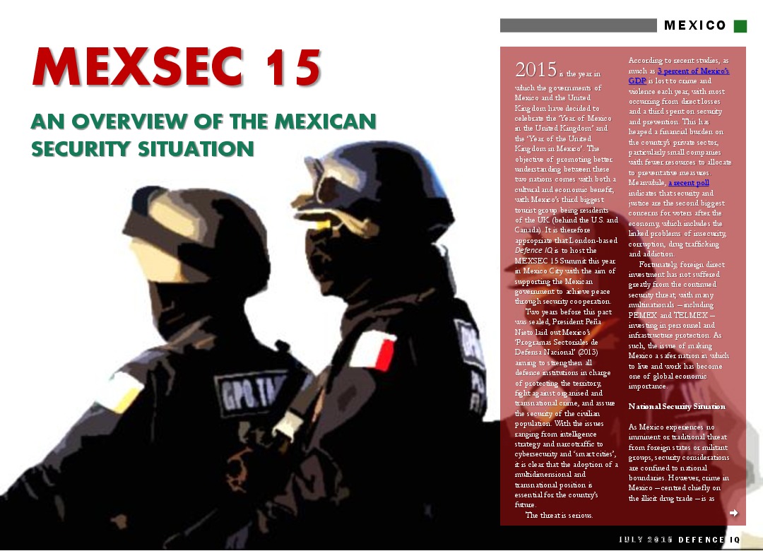 Analysis: The Mexican security landscape