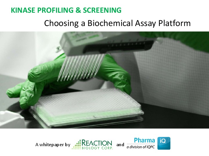 Kinase Profiling & Screening: Choosing a Biochemical Assay Platform