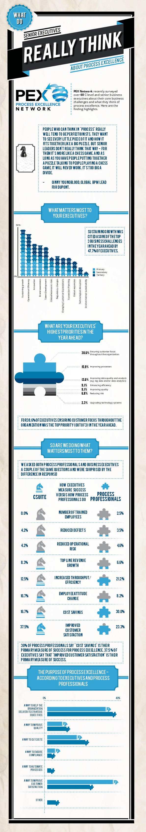 INFOGRAPHIC: What do business executives REALLY think about process ...